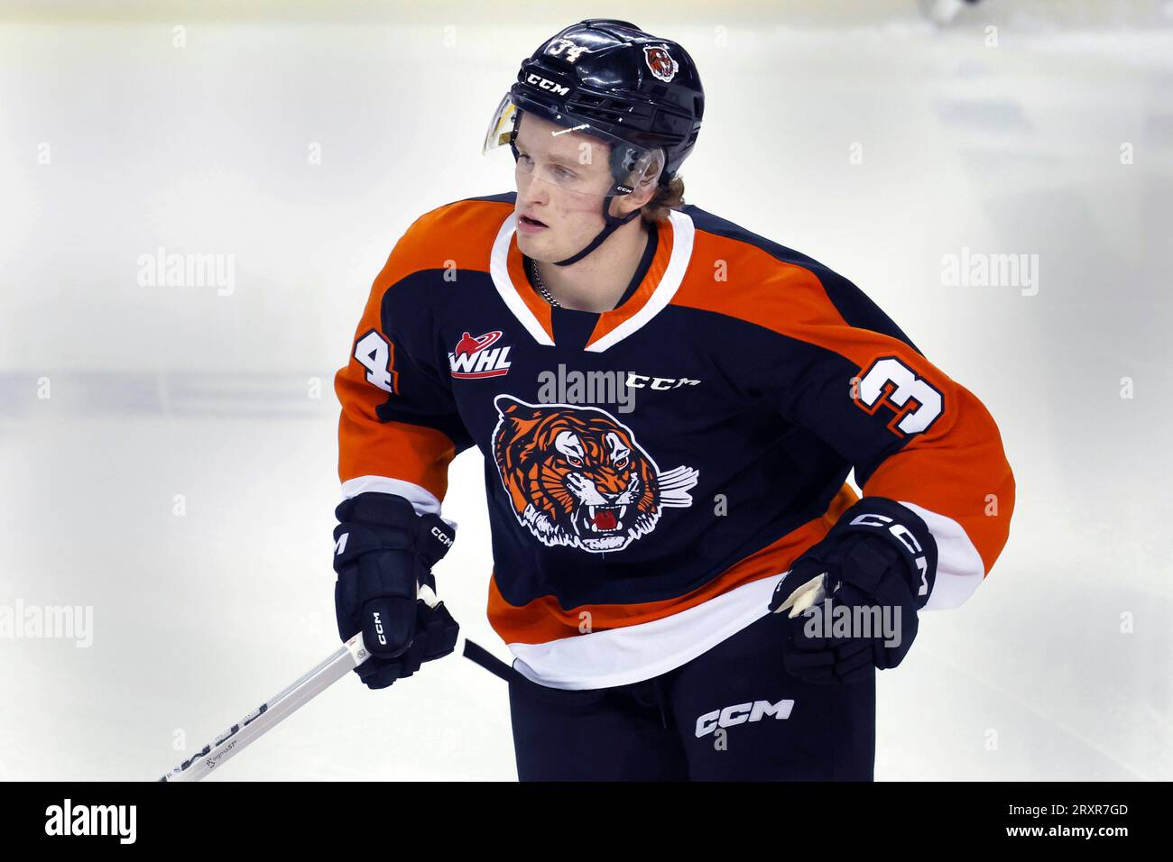 Medicine Hat Tigers player Andrew Basha during a WHL (Western Hockey ...