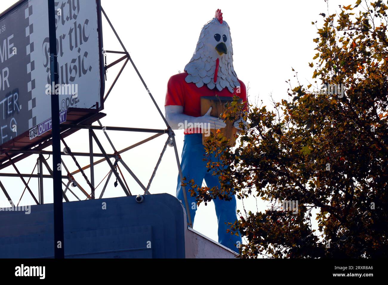 The chicken boy los angeles hi-res stock photography and images - Alamy