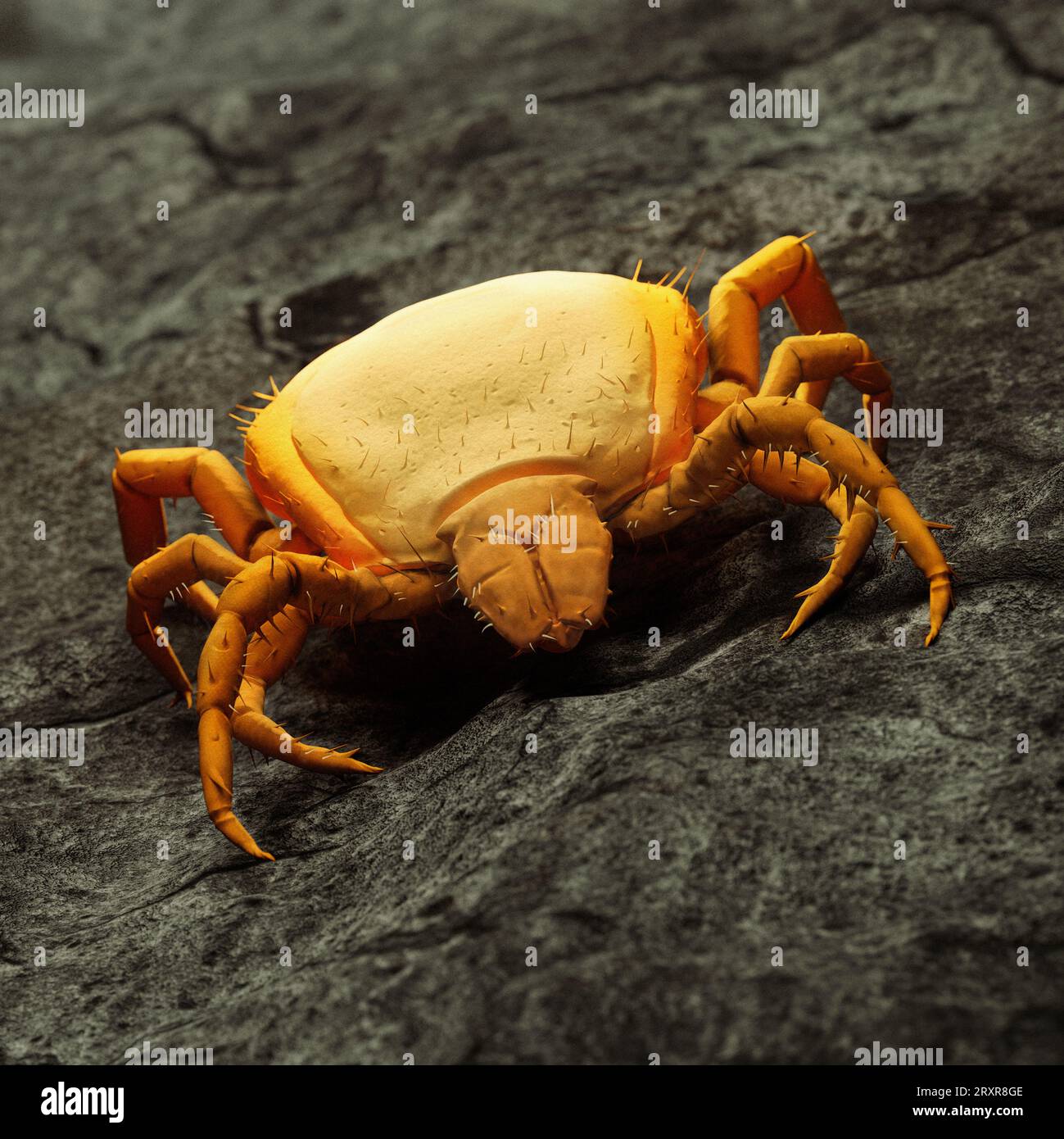 3D illustration of a detailed tick: SEM Electron Microscope Replica in ...