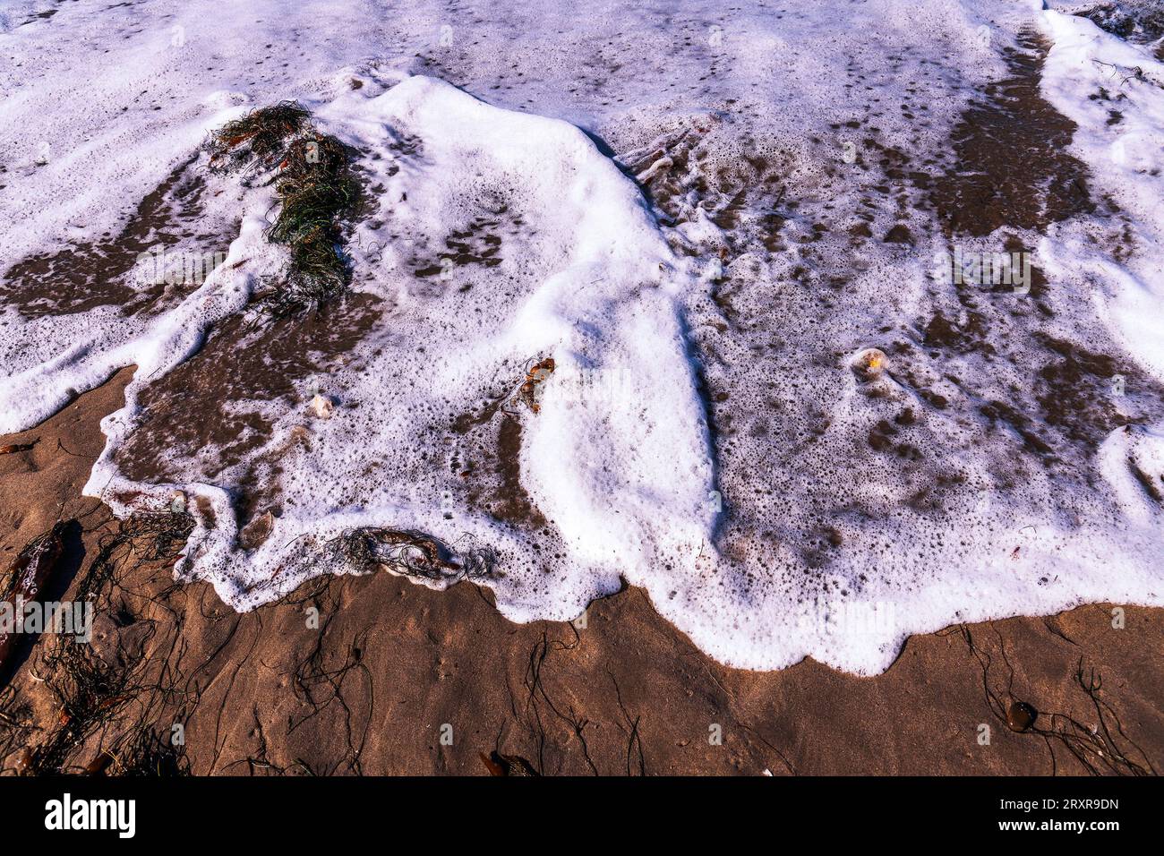 Close up of white caps breaking on the beach at Jalama Beach in Lompoc ...