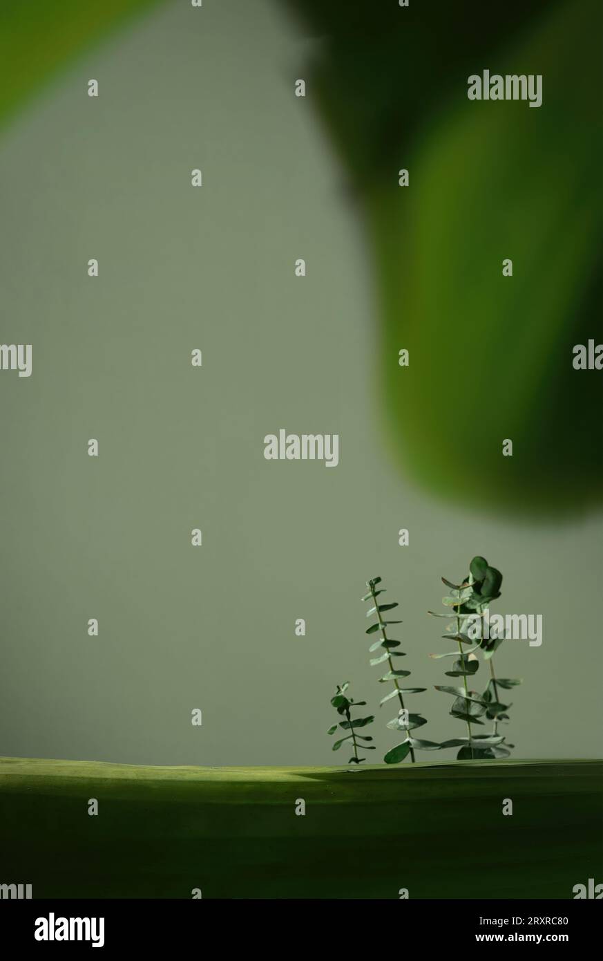 Simple backgrounds for products showcase, hi res images Stock Photo - Alamy