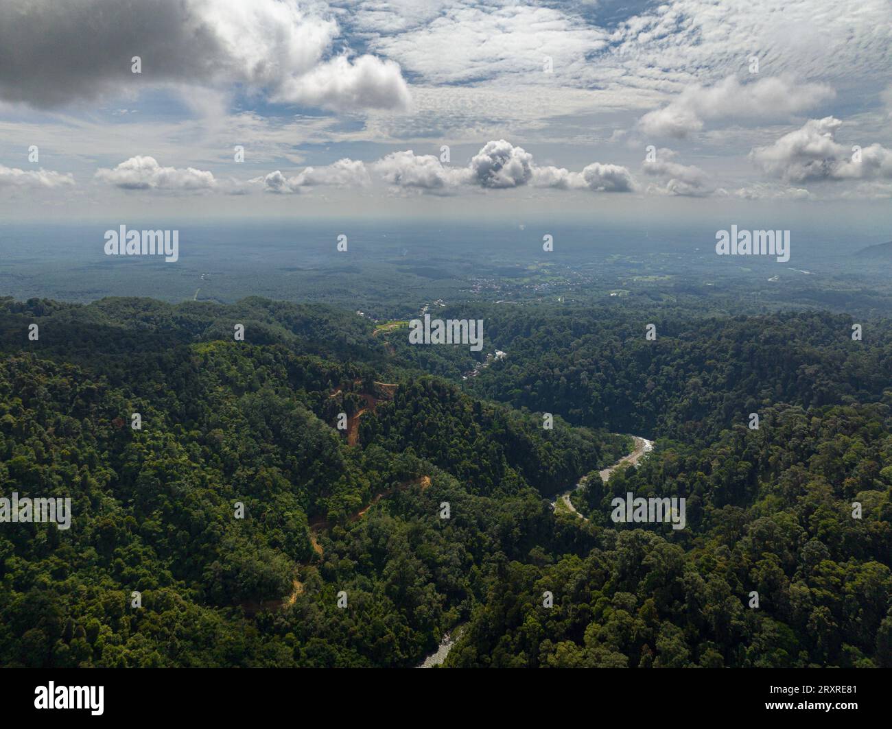 Aerial drone of mountains covered rainforest, trees and blue sky with ...
