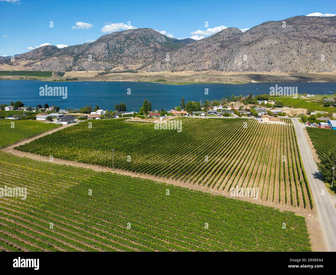 Canadian agricultural landscape aerial of a vineyard in the Okanagan ...