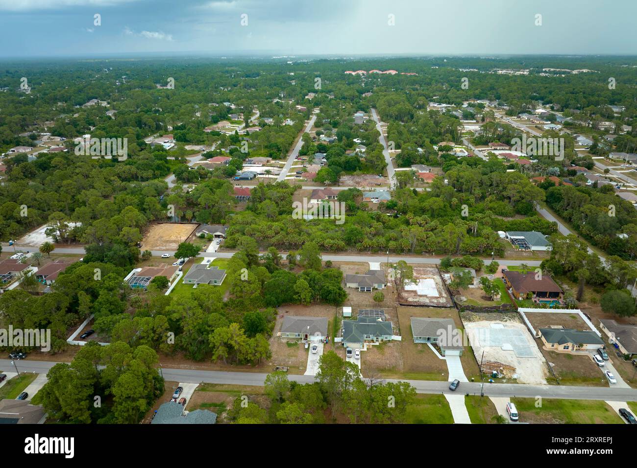 Aerial landscape view of suburban private houses between green palm ...
