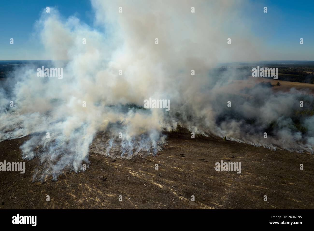Aerial view of white smoke from forest fire rising up polluting ...