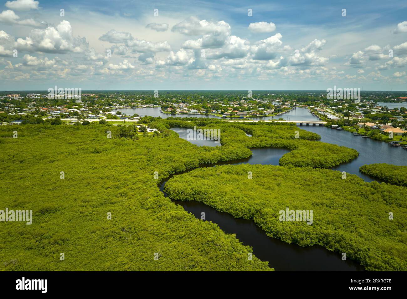 Overhead view of Everglades swamp with green vegetation between water ...