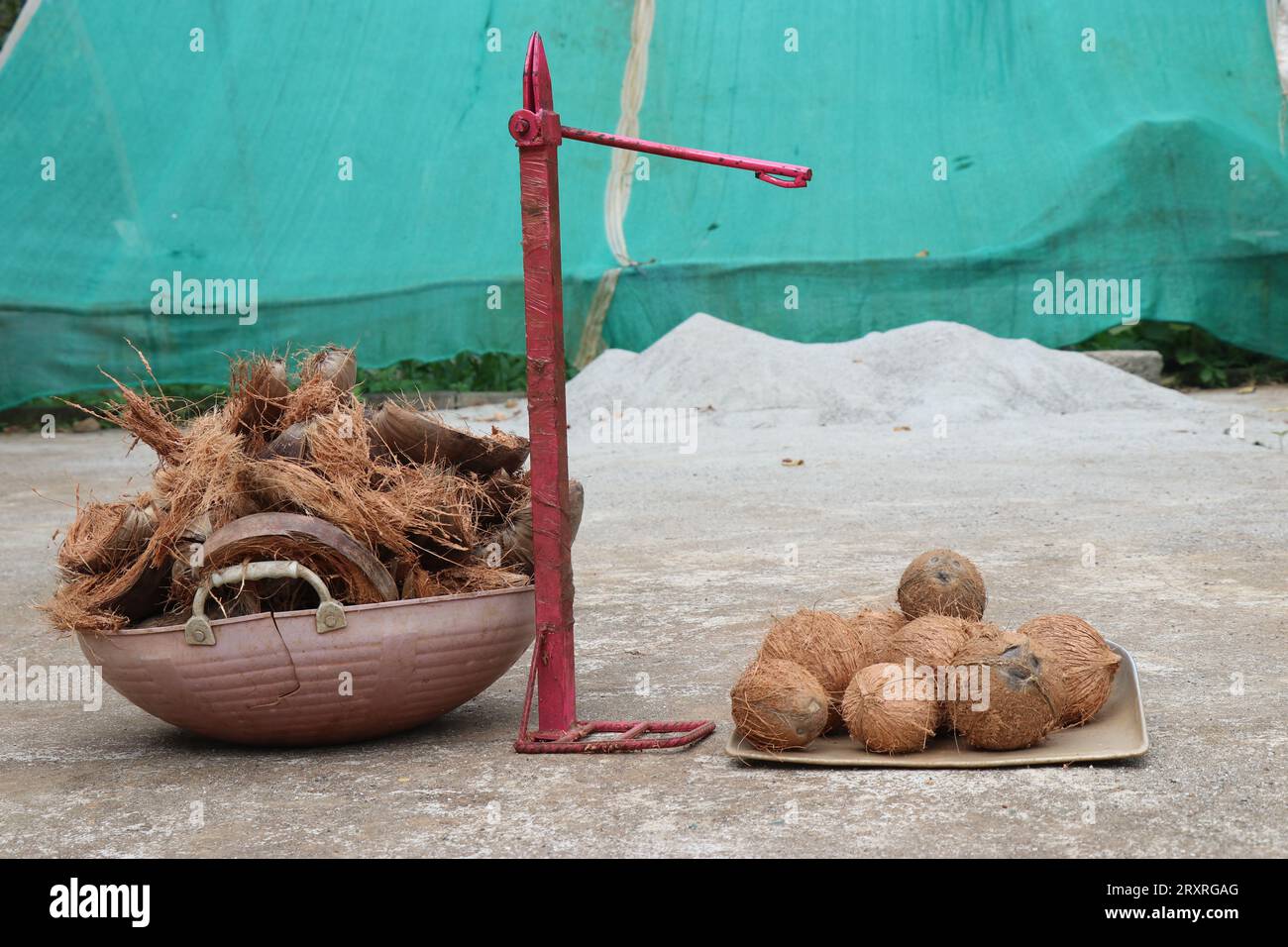 Coconut husk peeling tools hi-res stock photography and images - Alamy