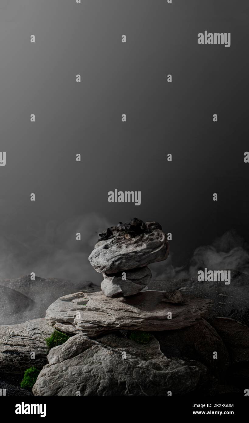 Nature background branches and rocks for product display, hi res photo ...