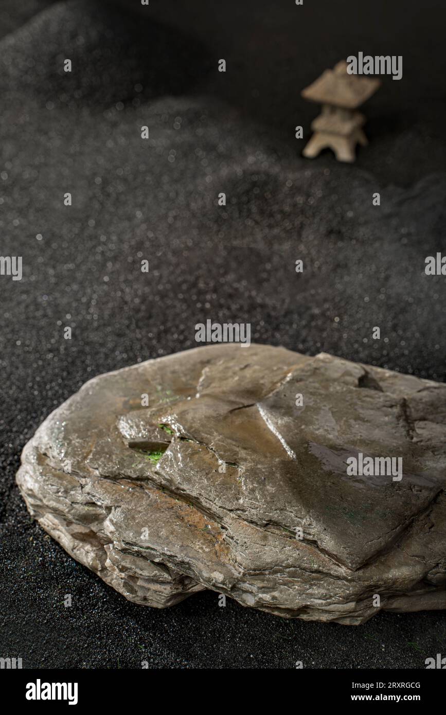 Nature background branches and rocks for product display, hi res photo ...