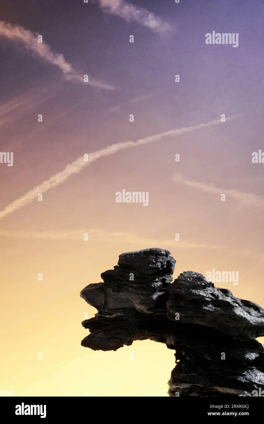 Nature background branches and rocks for product display, hi res photo ...