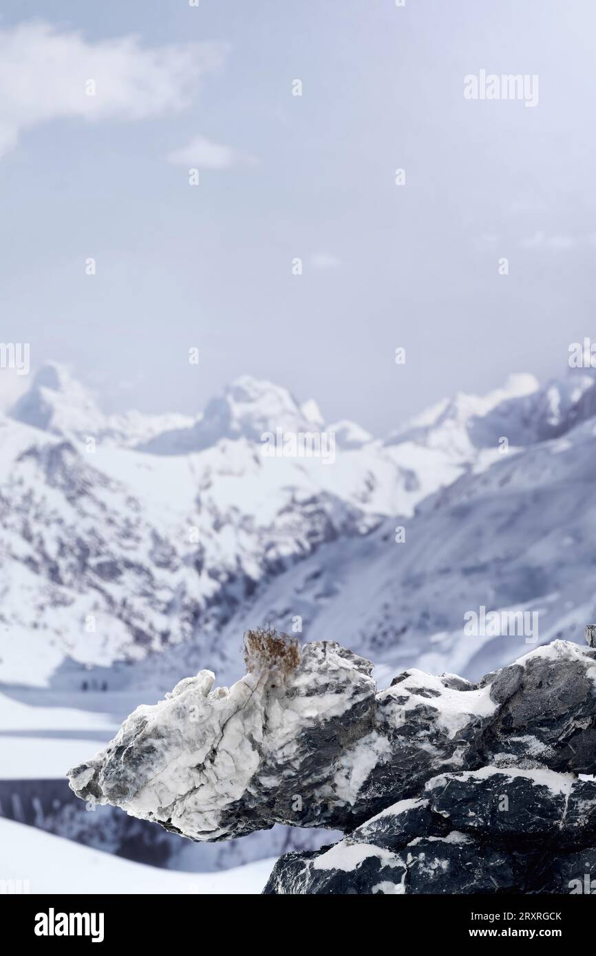 Nature background branches and rocks for product display, hi res photo ...