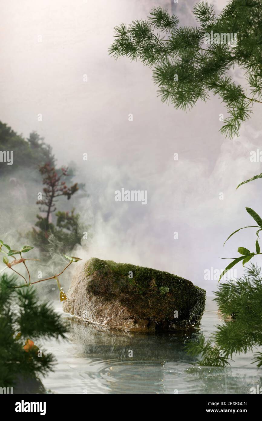 Nature background branches and rocks for product display, hi res photo ...