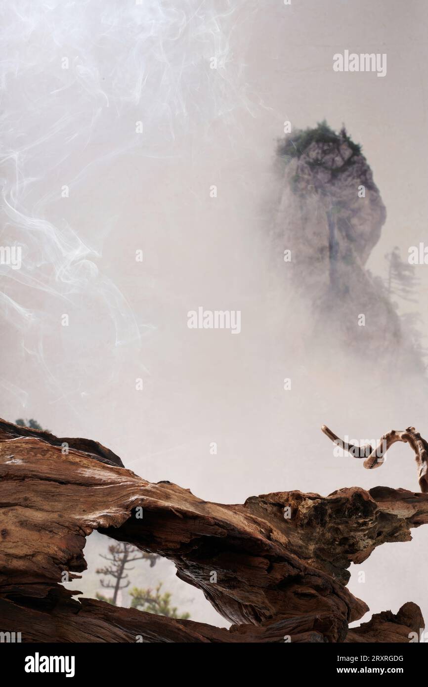 Nature background branches and rocks for product display, hi res photo ...