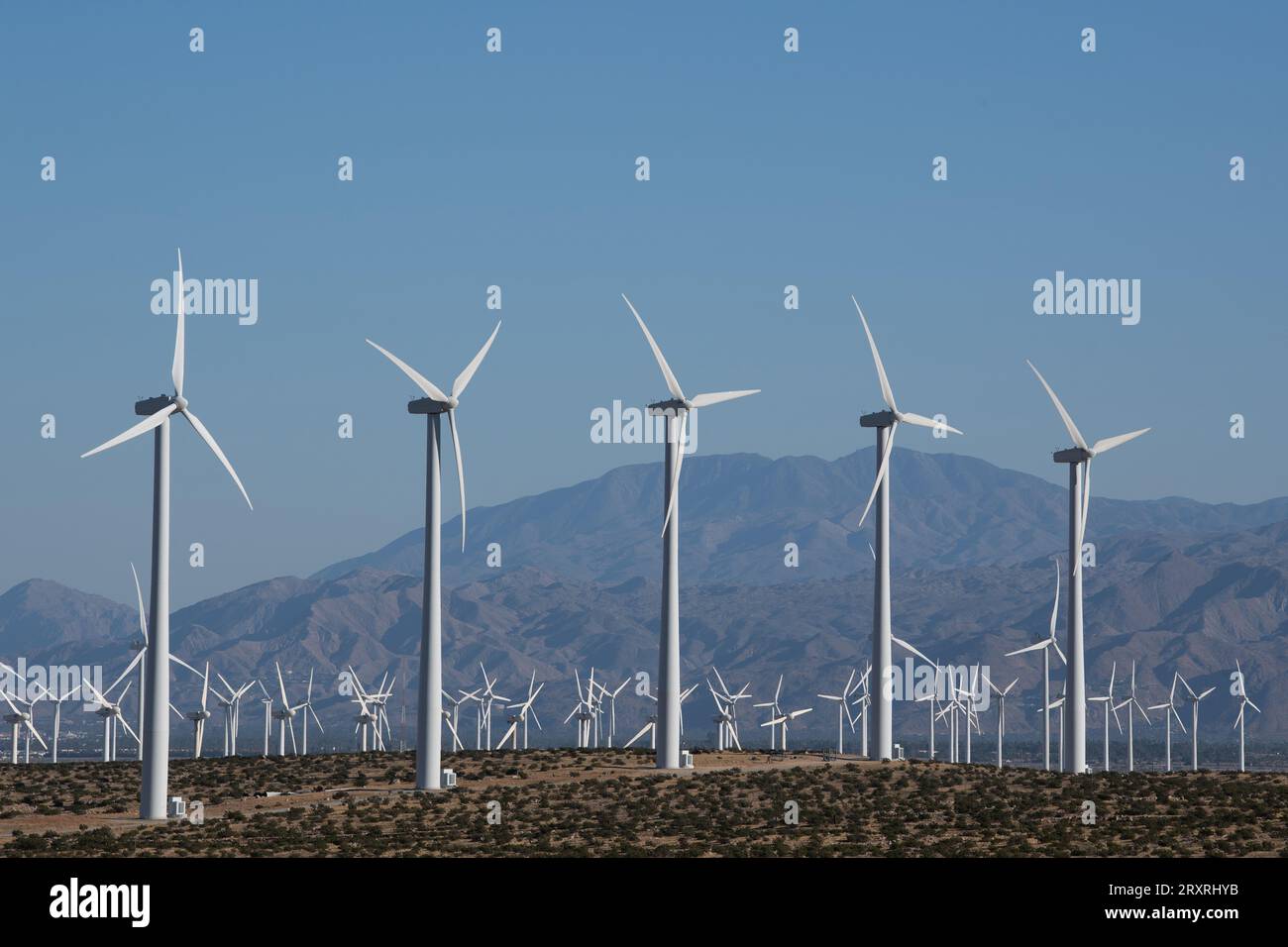 Some of the over 1200 commercial wind turbines on the San Gorgonio Pass ...