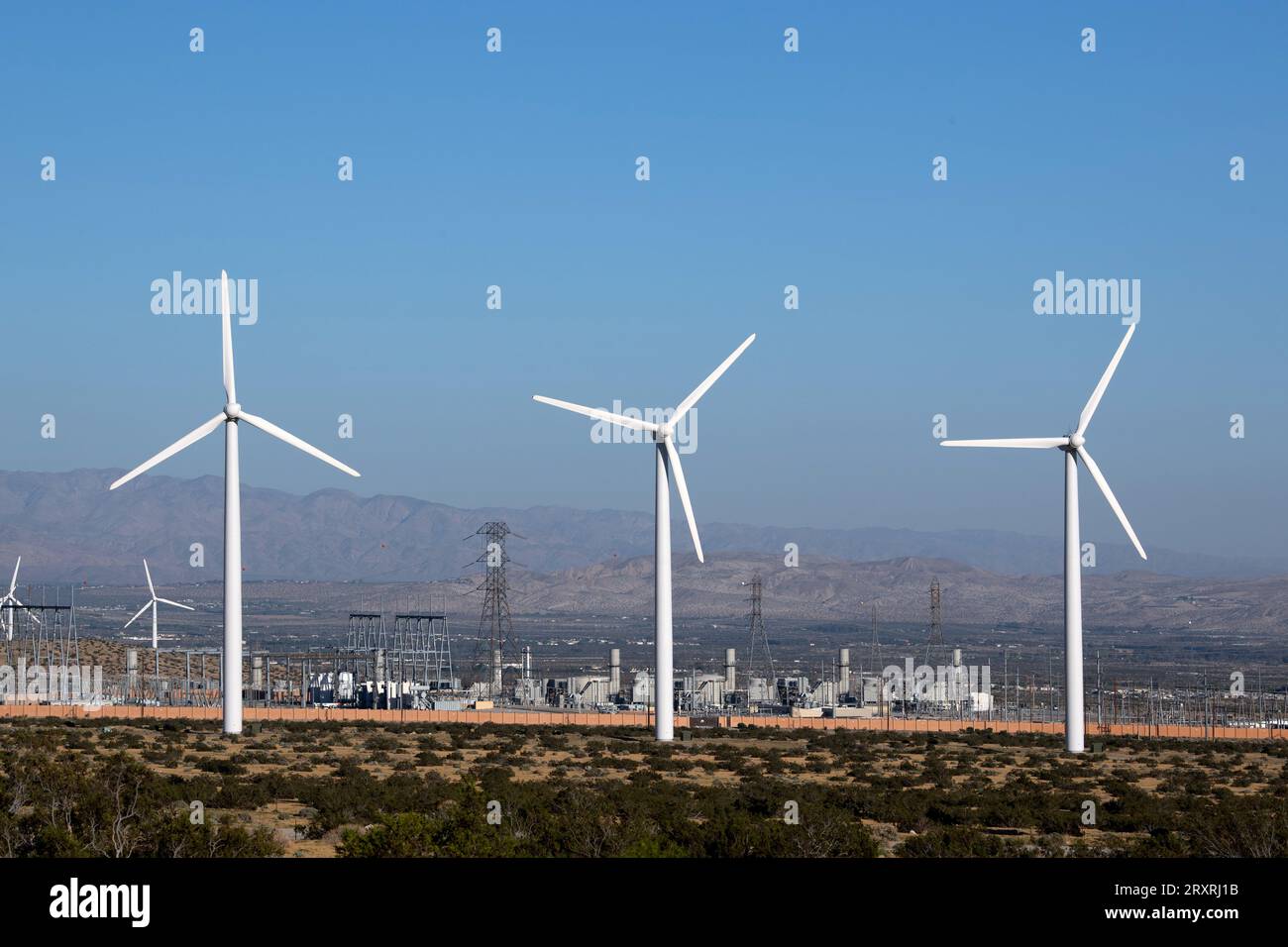 Some of the over 1200 commercial wind turbines on the San Gorgonio Pass ...