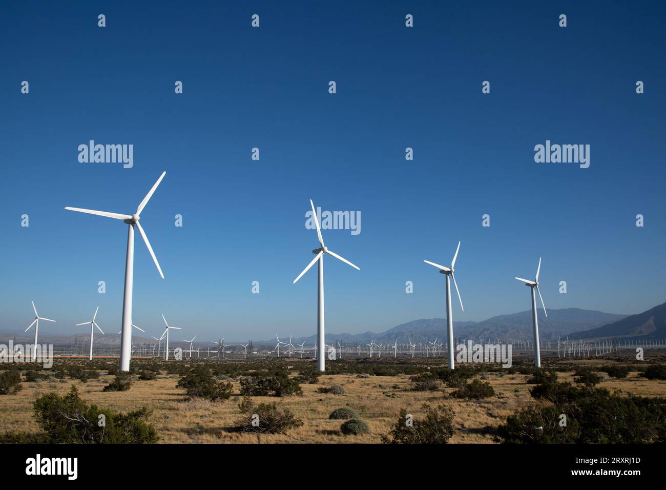 Some of the over 1200 commercial wind turbines on the San Gorgonio Pass ...
