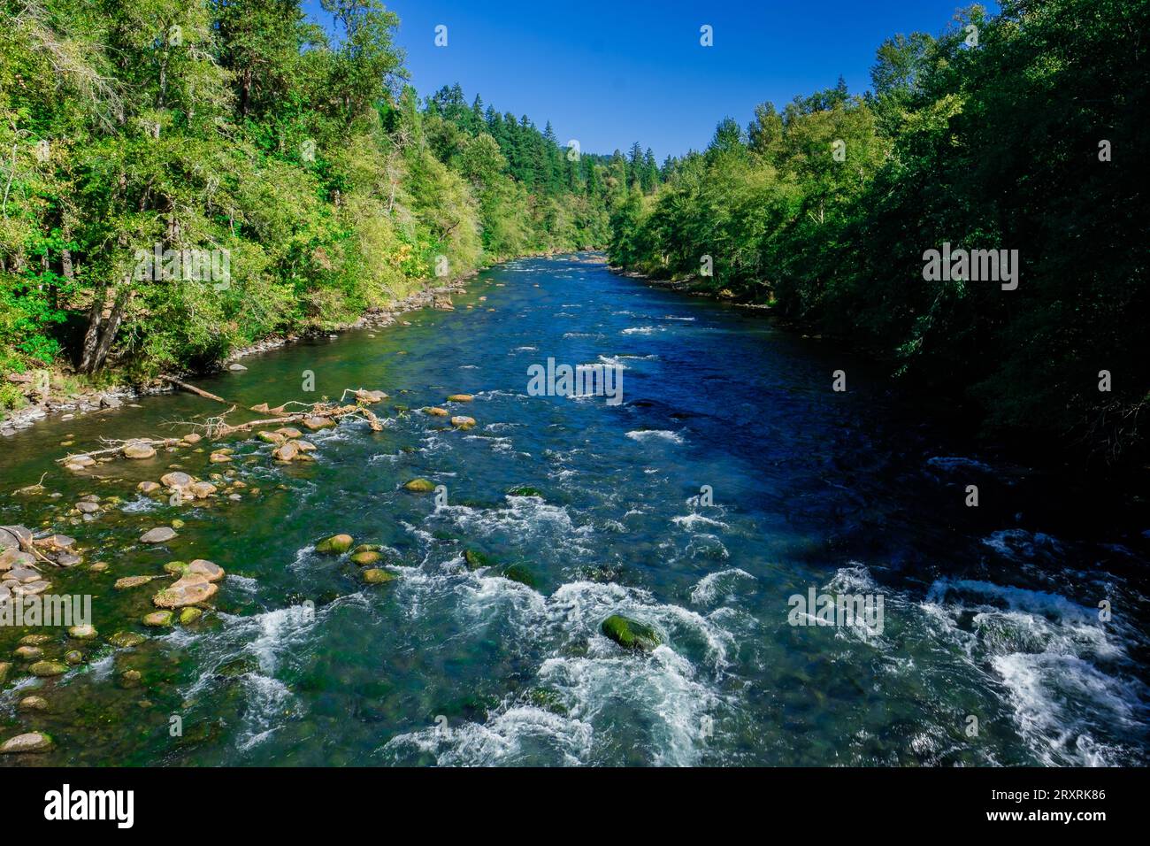 Middle fork willamette hi-res stock photography and images - Alamy
