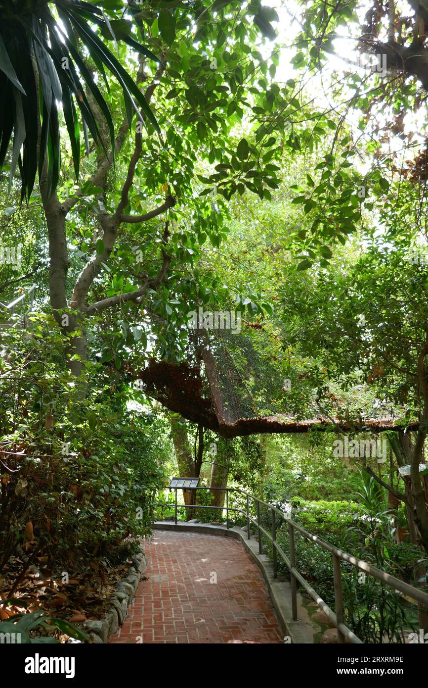 Los Angeles, California, USA 20th September 2023 Aviary at LA Zoo on ...