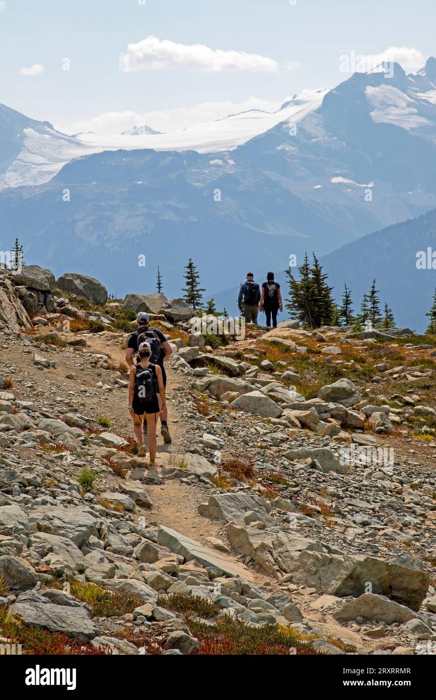 Hikers on the High Note Trail on Whistler Mountain Stock Photo - Alamy