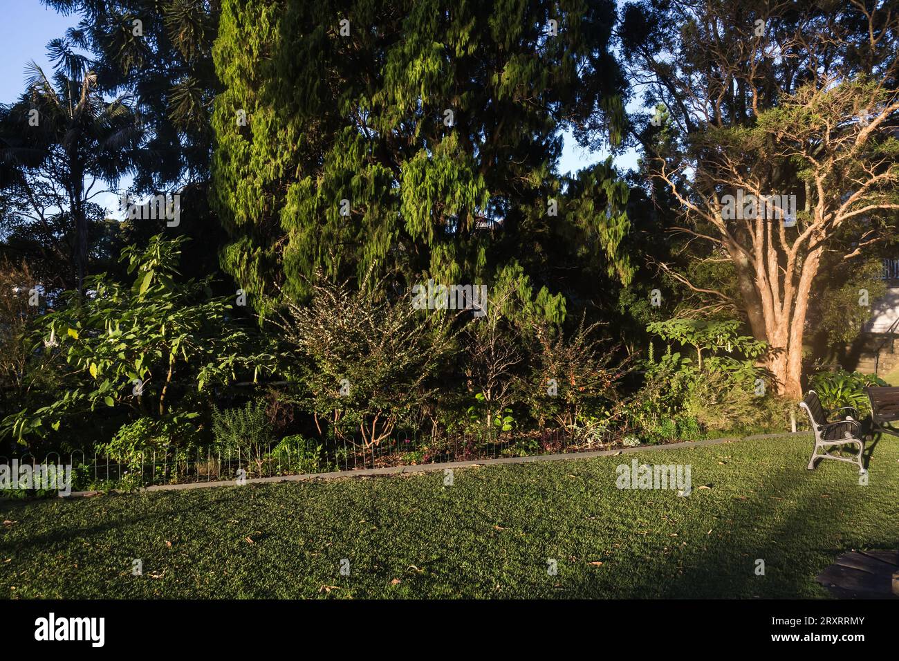 Blackburn Gardens, Double Bay, Sydney, Australia Stock Photo - Alamy