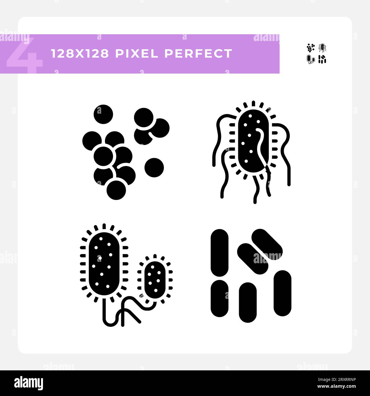 Bacteria salmonella typhi Stock Vector Images - Alamy