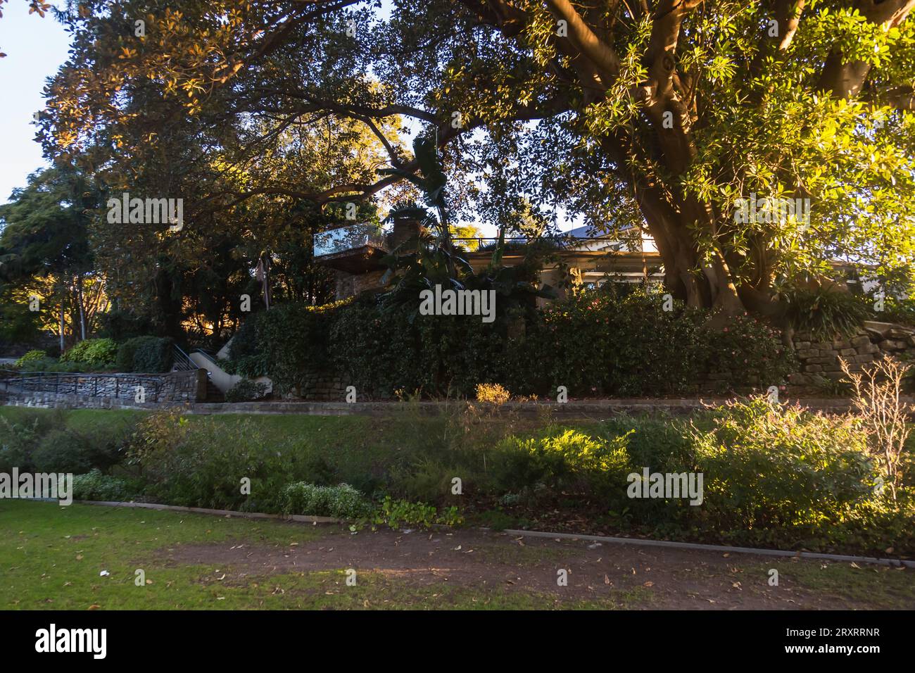 Blackburn Gardens, Double Bay, Sydney, Australia Stock Photo - Alamy
