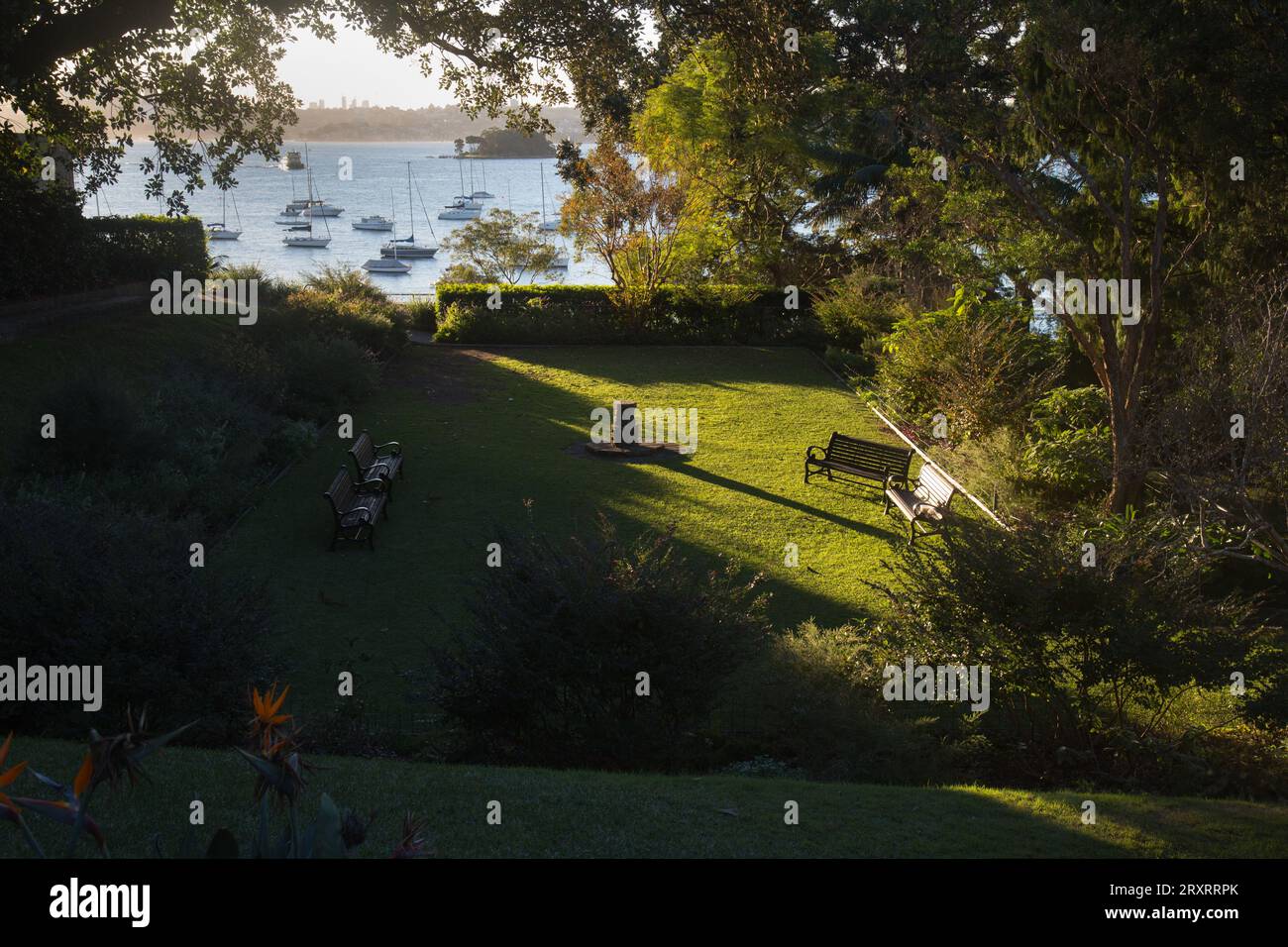 Blackburn Gardens, Double Bay, Sydney, Australia Stock Photo - Alamy