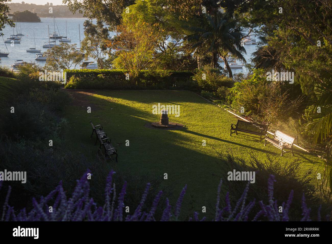 Blackburn Gardens, Double Bay, Sydney, Australia Stock Photo - Alamy