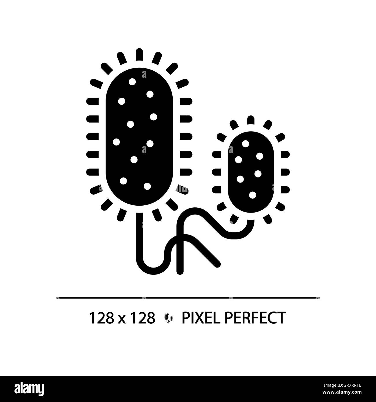 Vibrio Cholerae Pronunciation