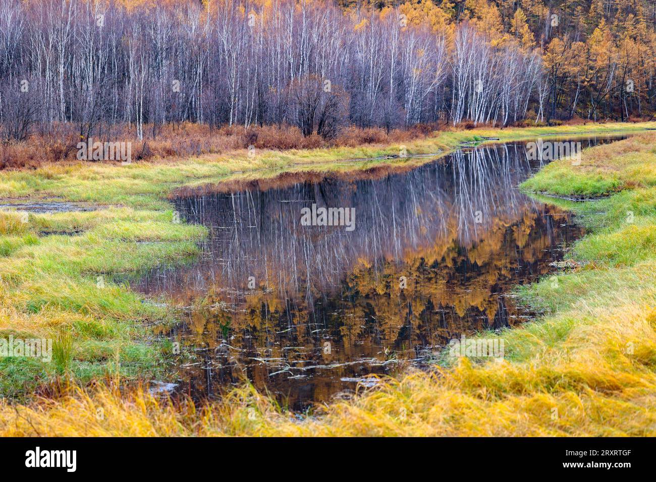 GREAT KHINGAN, CHINA - SEPTEMBER 26, 2023 - Autumn scenery of mountains ...