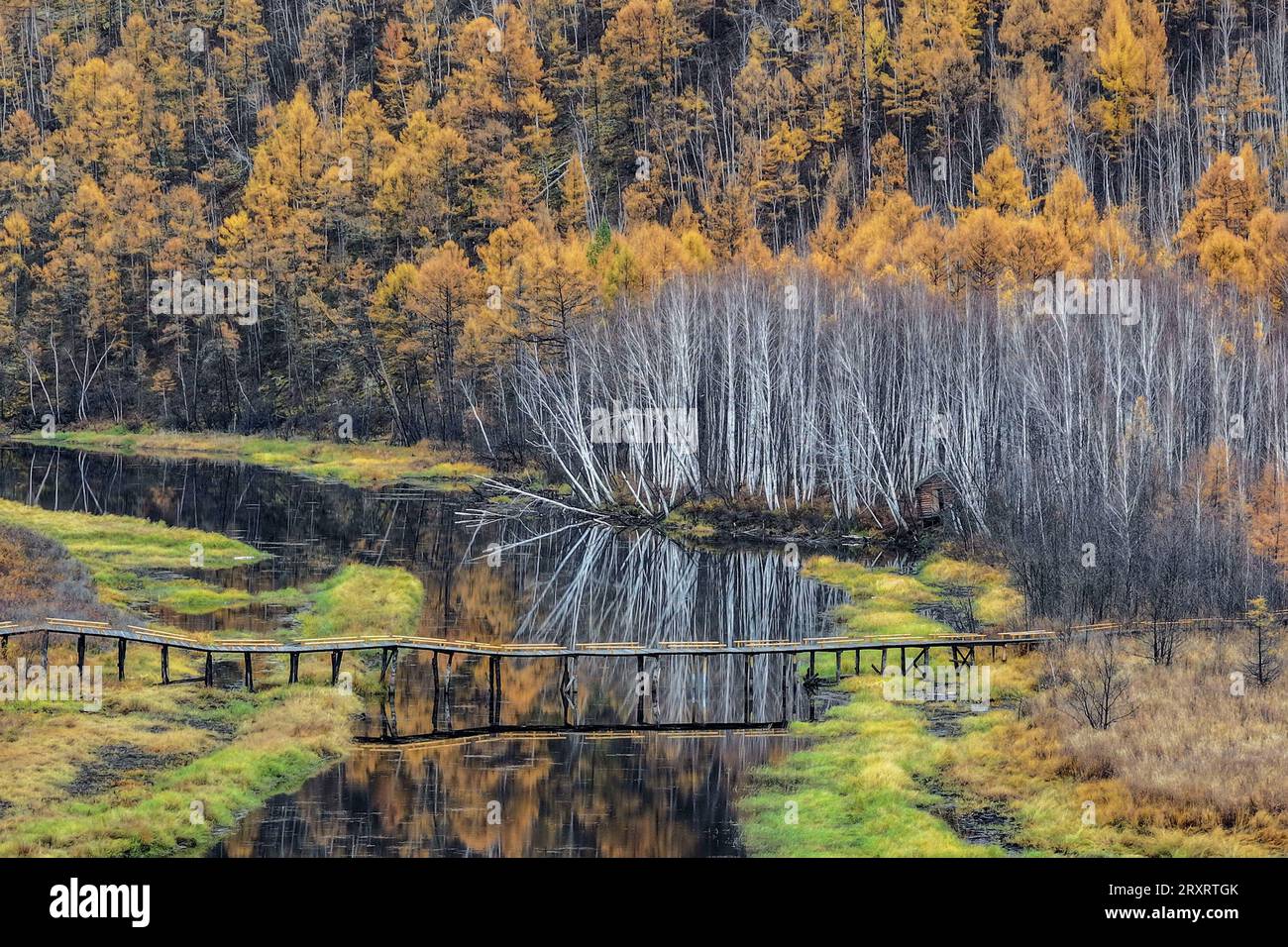 GREAT KHINGAN, CHINA - SEPTEMBER 26, 2023 - Autumn scenery of mountains ...