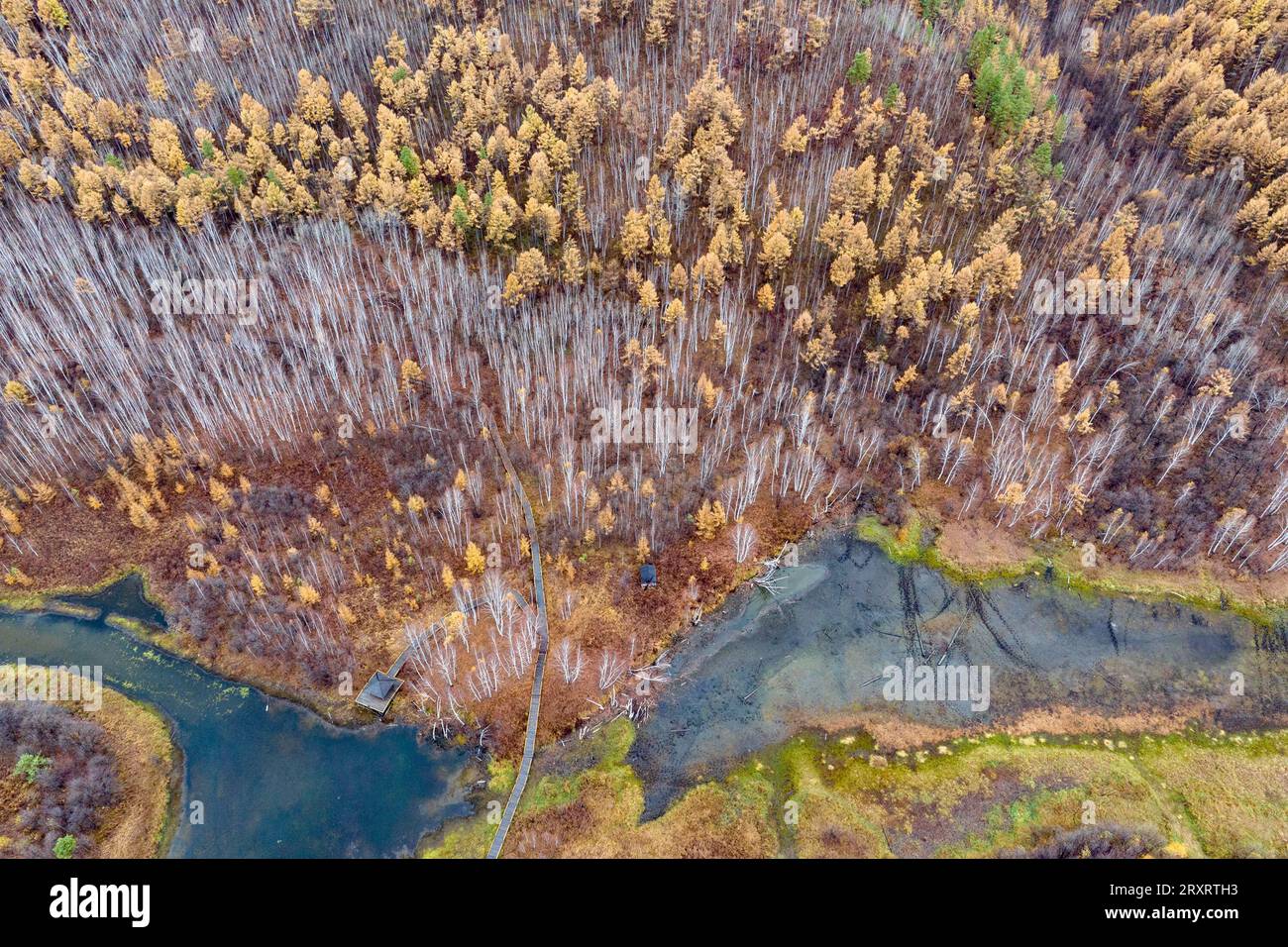 GREAT KHINGAN, CHINA - SEPTEMBER 26, 2023 - Autumn scenery of mountains ...