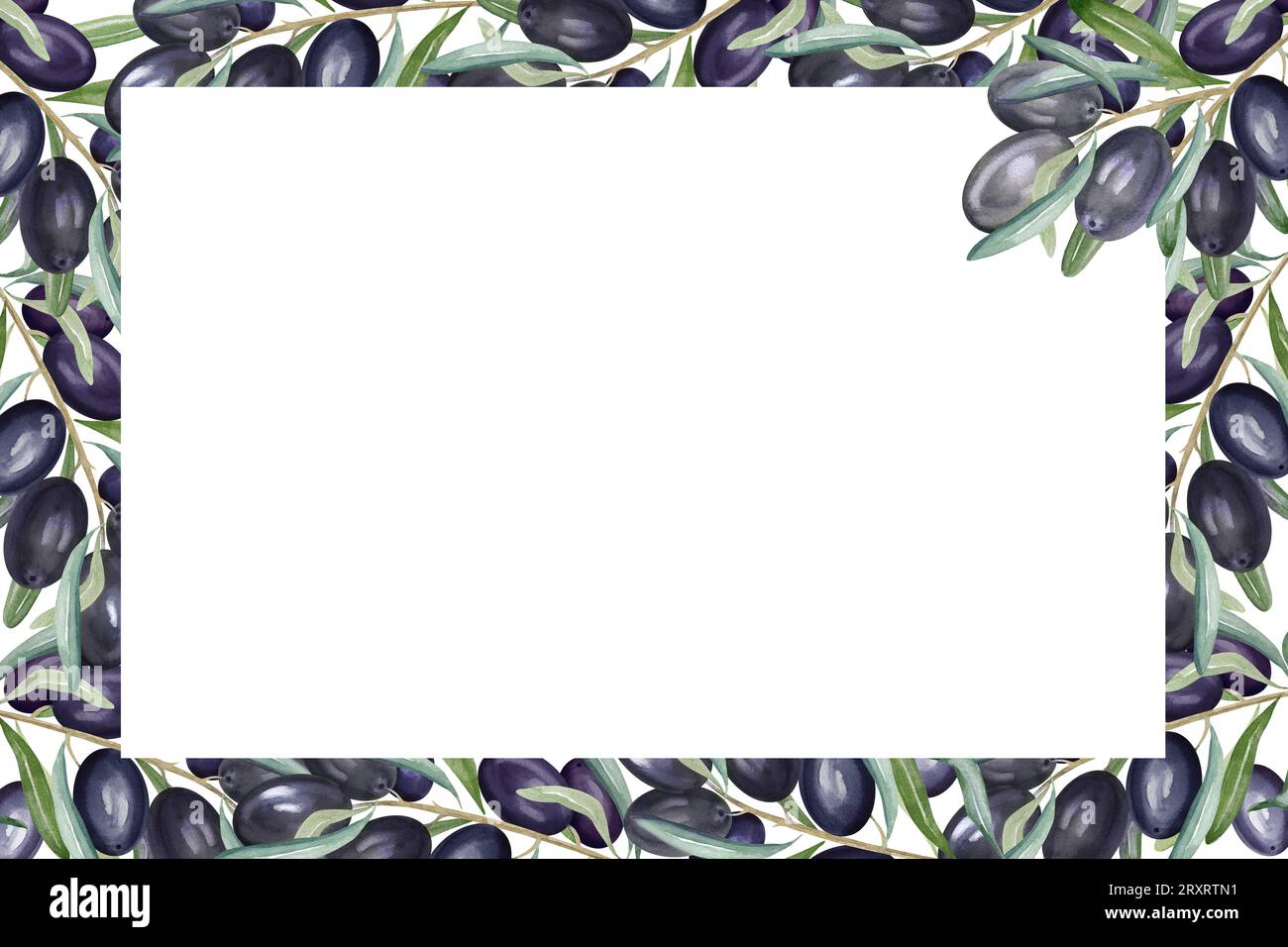 watercolor frame with branch of black olives with leaves and fruits ...