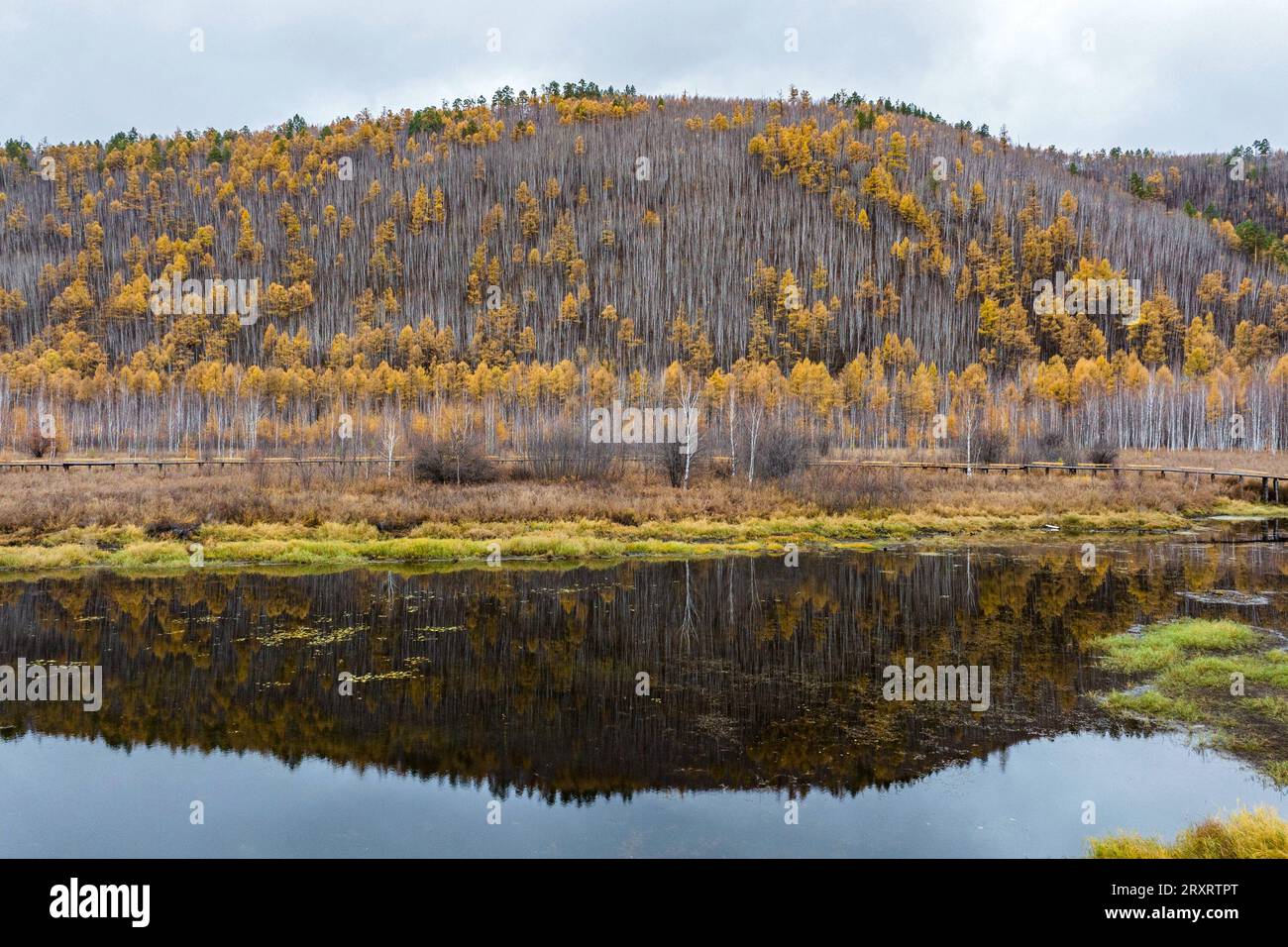 Greater Khingan, China. 27th Sep, 2023. GREAT KHINGAN, CHINA ...