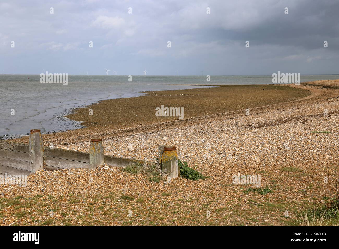 Long Rock Nature Reserve, Tankerton, Whitstable, Kent, England, Great ...