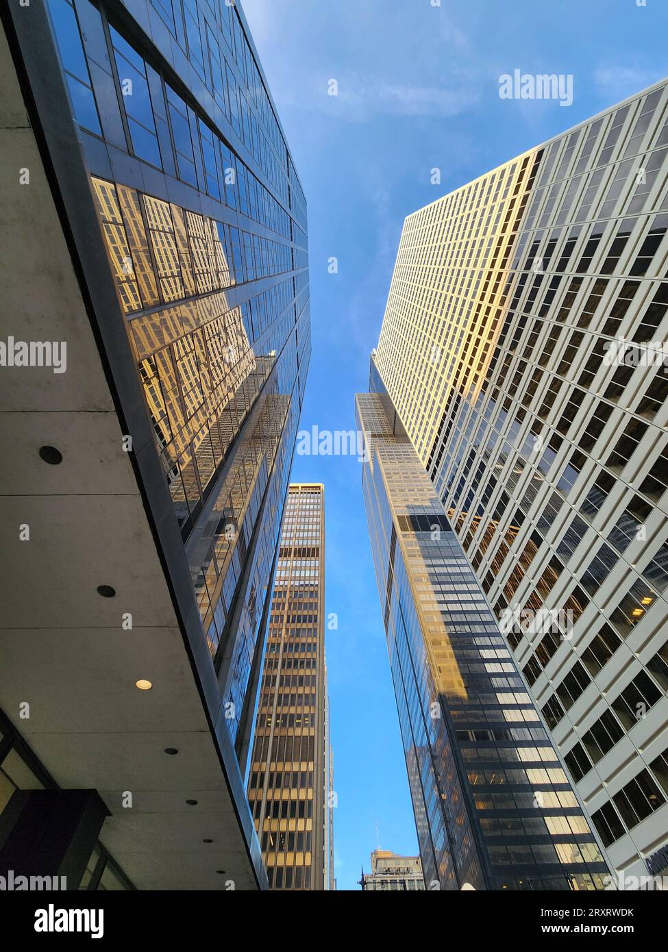 skyscraper building architecture. skyscraper with glassy facade. modern ...