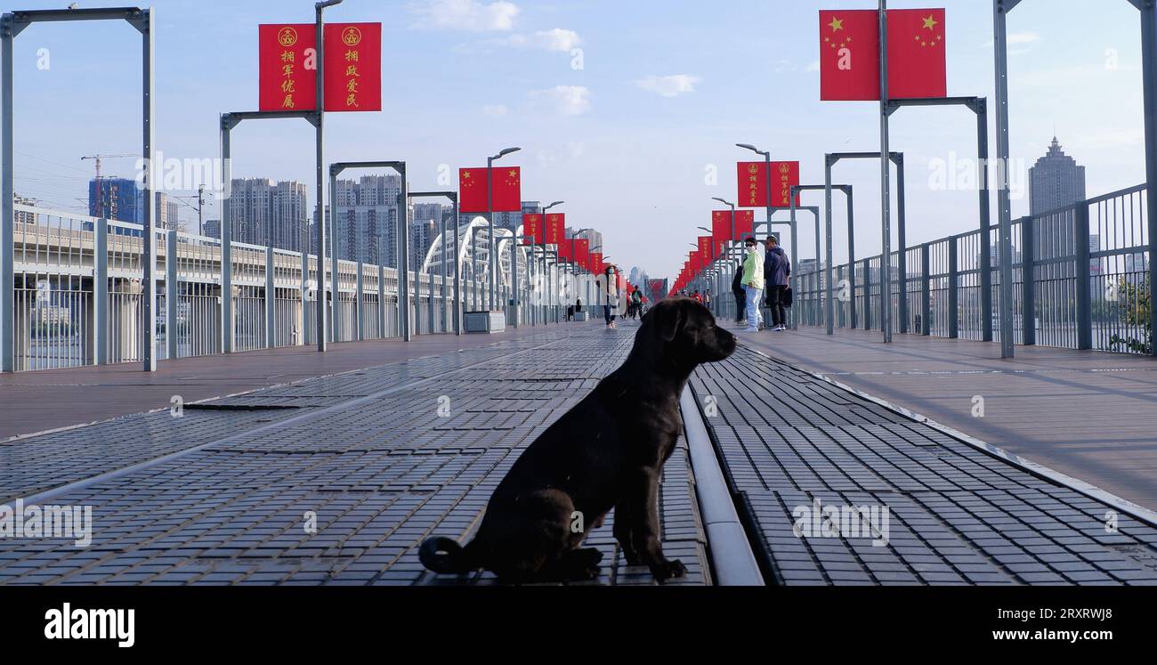 Flag of harbin hi-res stock photography and images - Alamy