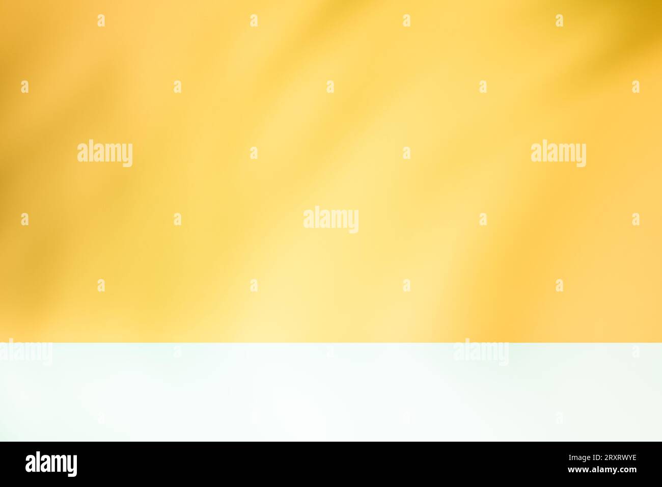 Empty yellow white 3d room with artistic windows shadow, front view ...