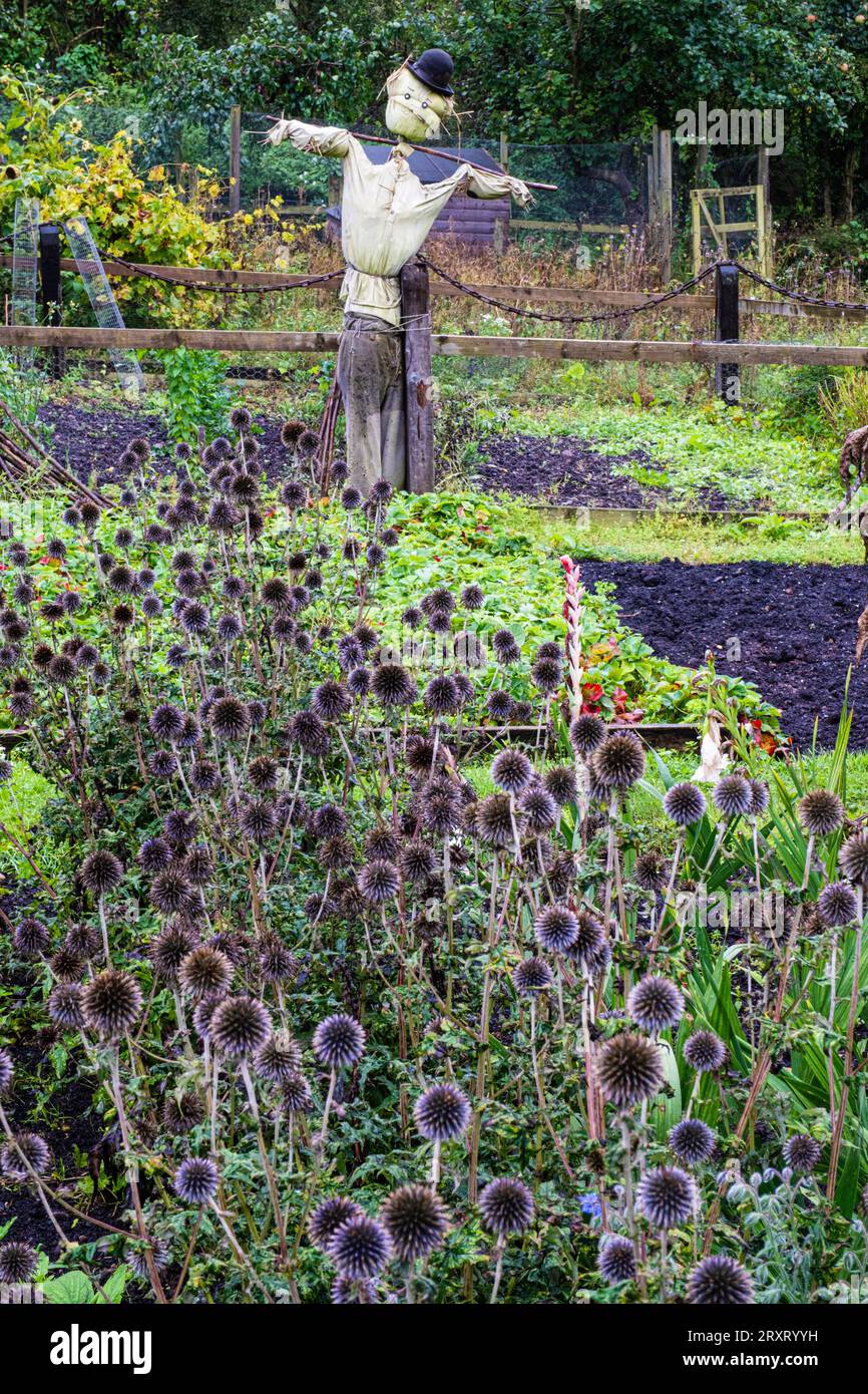A traditional scarecrow in a garden Stock Photo - Alamy