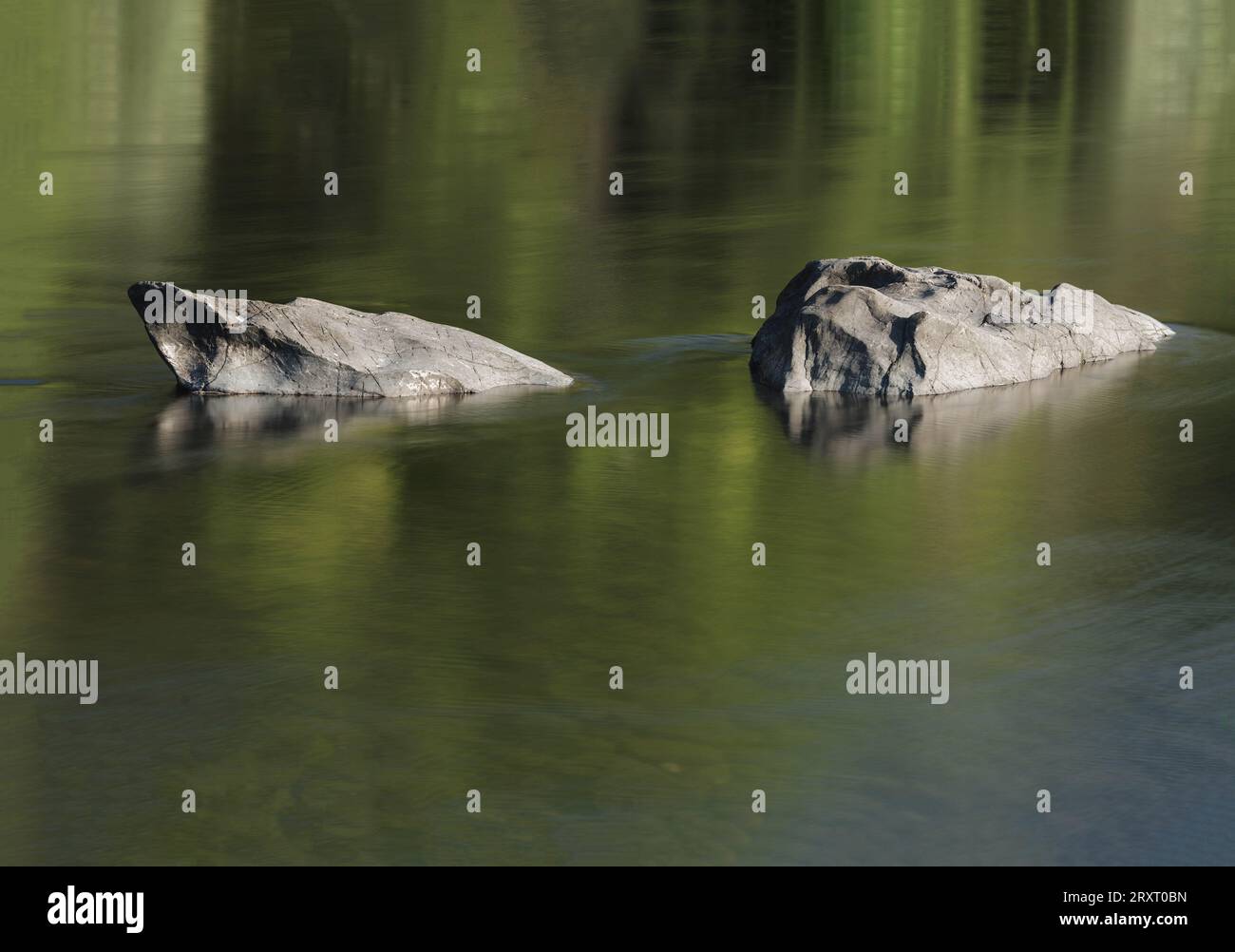 Natural ecosystem hi-res stock photography and images - Alamy