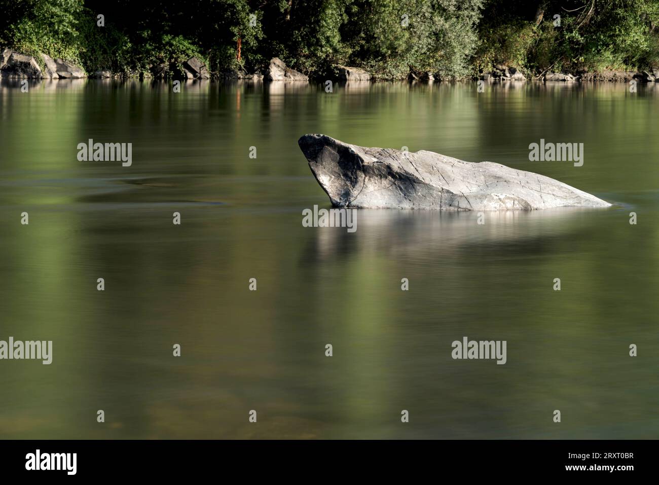 Water born tree hi-res stock photography and images - Alamy