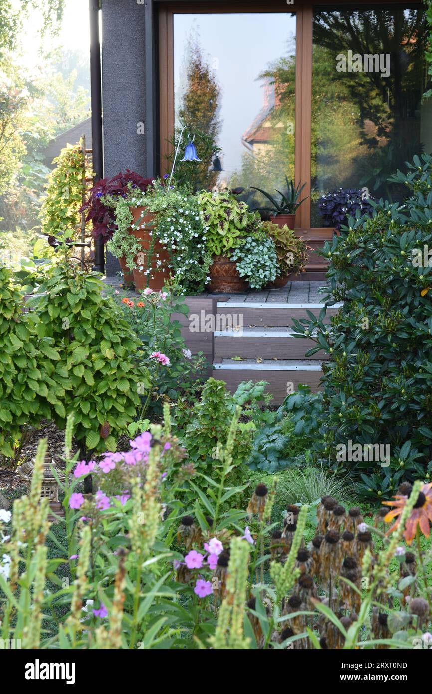 A private garden in September, full of blooming flowers, grasses ...
