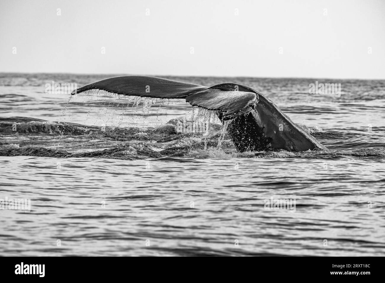 Indian Ocean Vortex Stunning pictures taken above Mauritius create ...