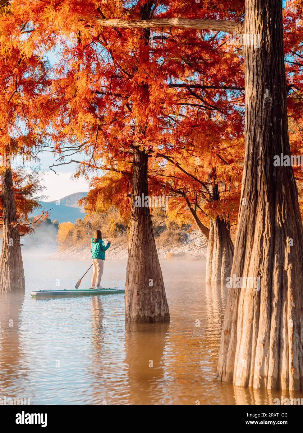 Woman on stand up paddle board exploring lake with morning fog and ...