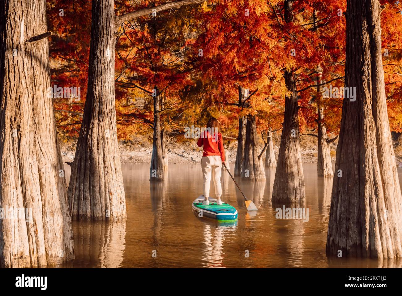 Stand up paddle board concept - Woman paddle boarding on a lovely lake ...