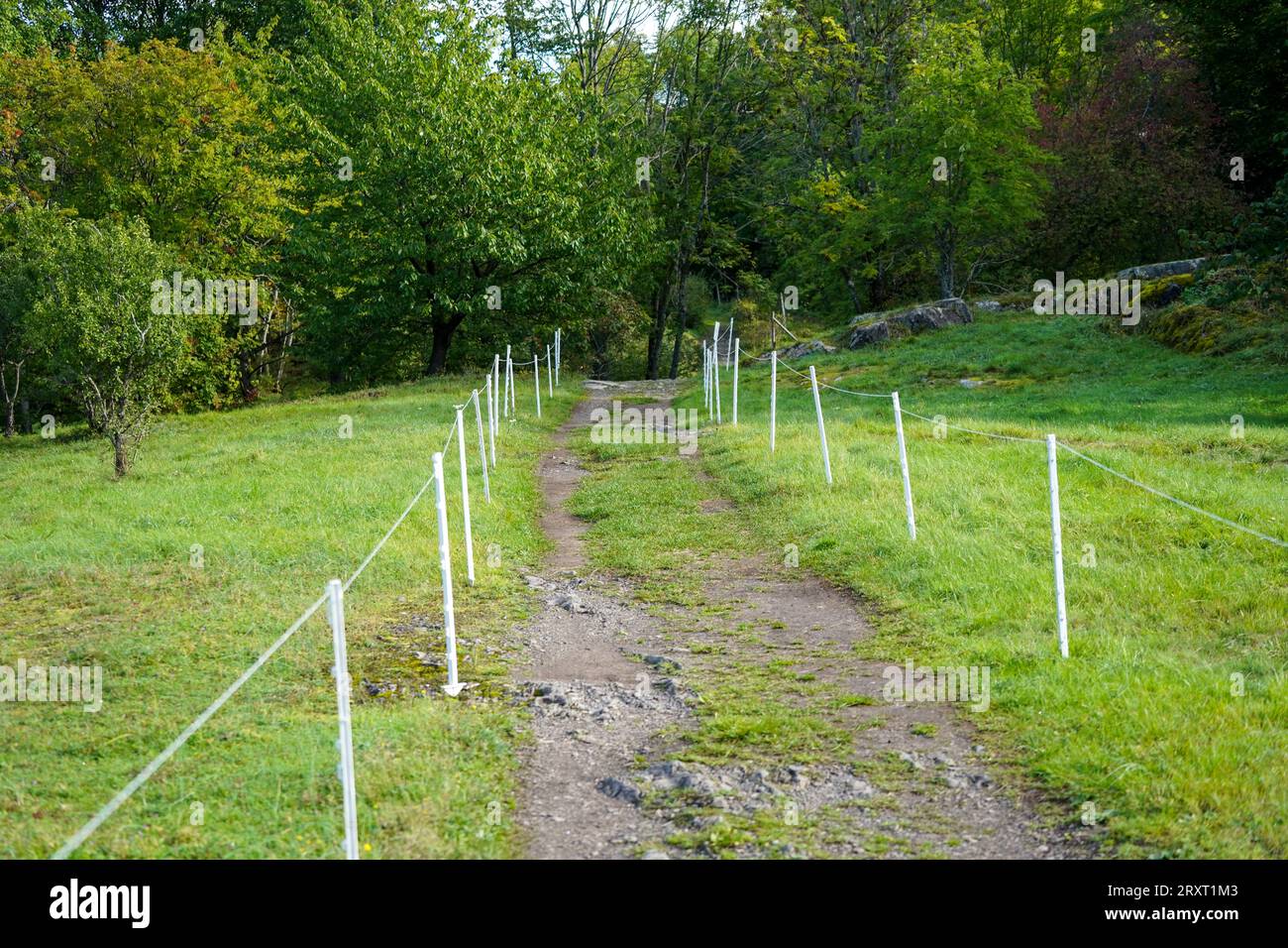 Walk in greenery hi-res stock photography and images - Alamy