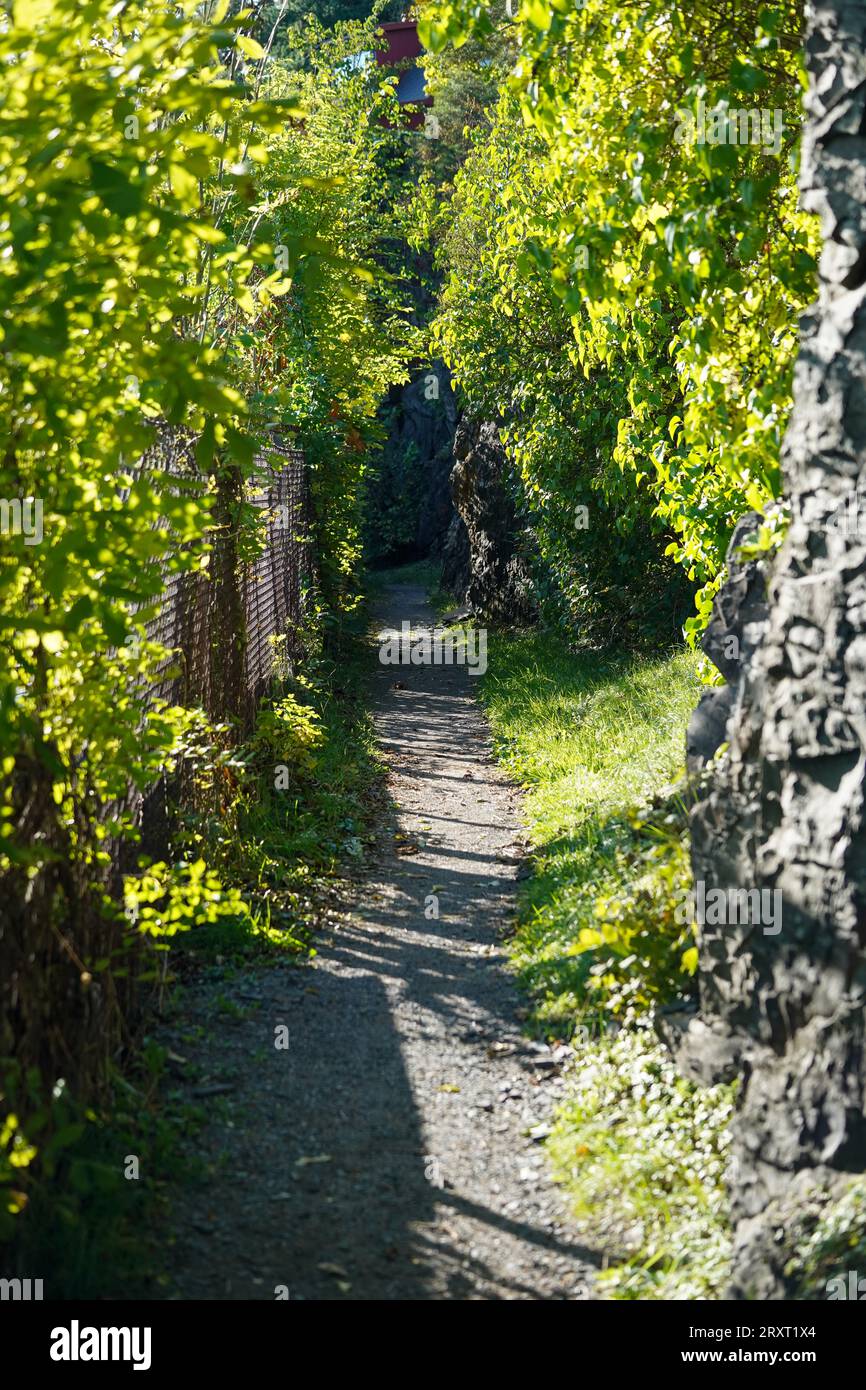 Path with greenery hi-res stock photography and images - Alamy