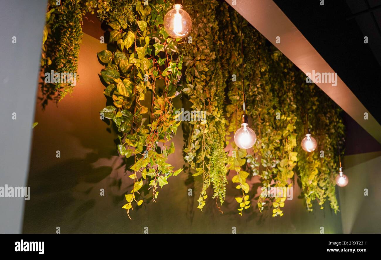 Light bulbs decorative bushes hi-res stock photography and images - Alamy