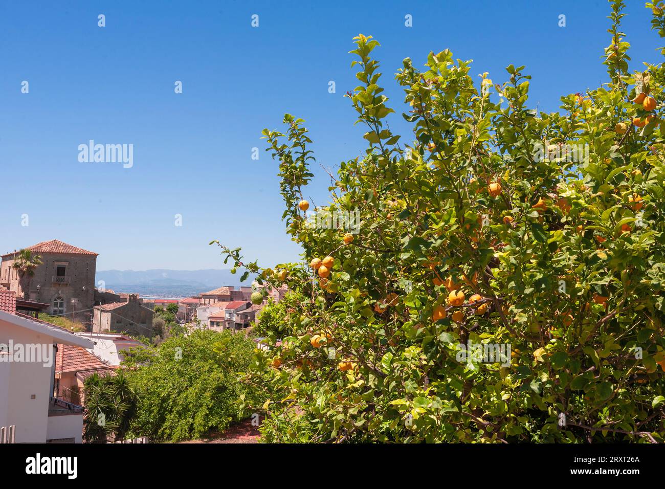 View over Roccella Ionica, Calabria, southern Italy, with a lemon tree ...