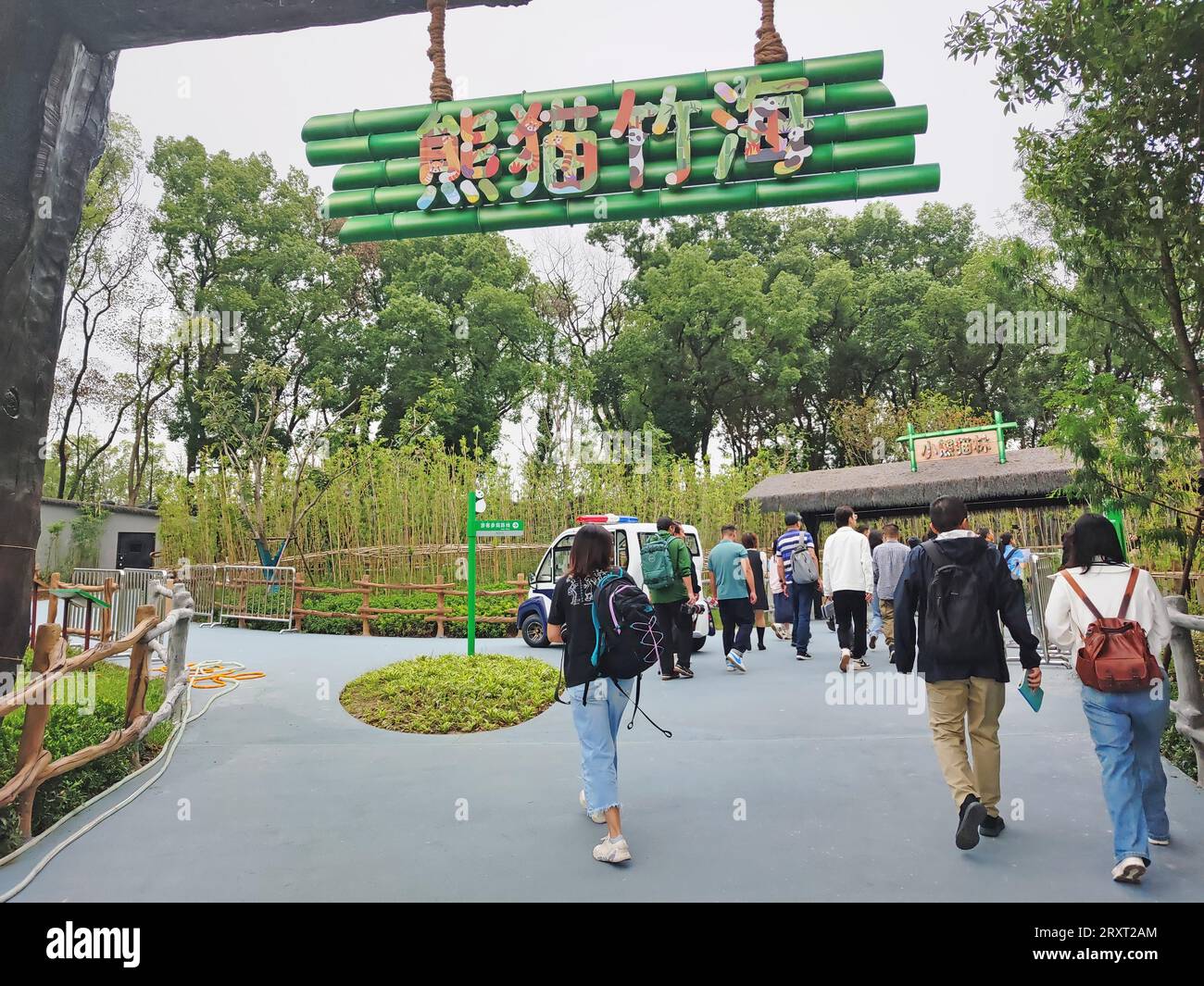 Giant pandas at Wuhan Zoo, Wuhan City, central China's Hubei Province ...
